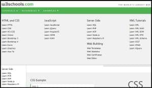 Download W3Schools Offline Version [2024 Edition] – Technotification – franksgraphic